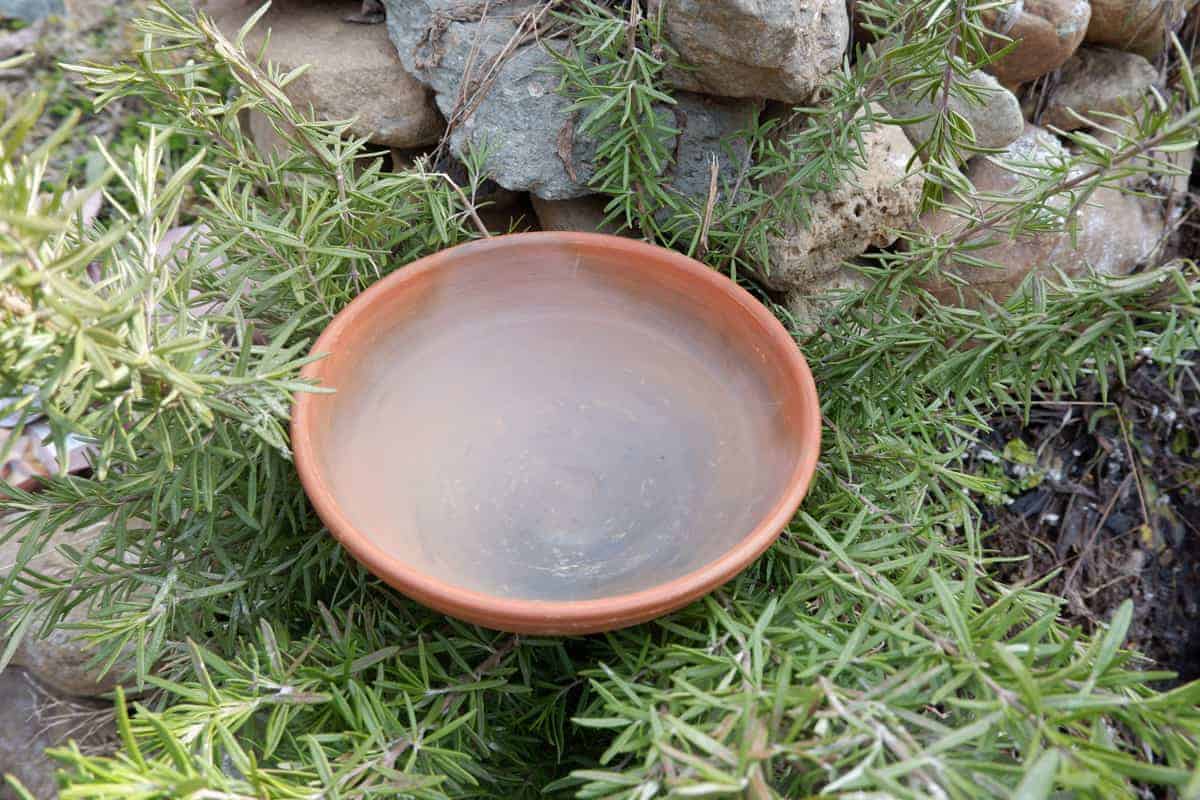 Mud pot - Sagg Eco Village Kashmir